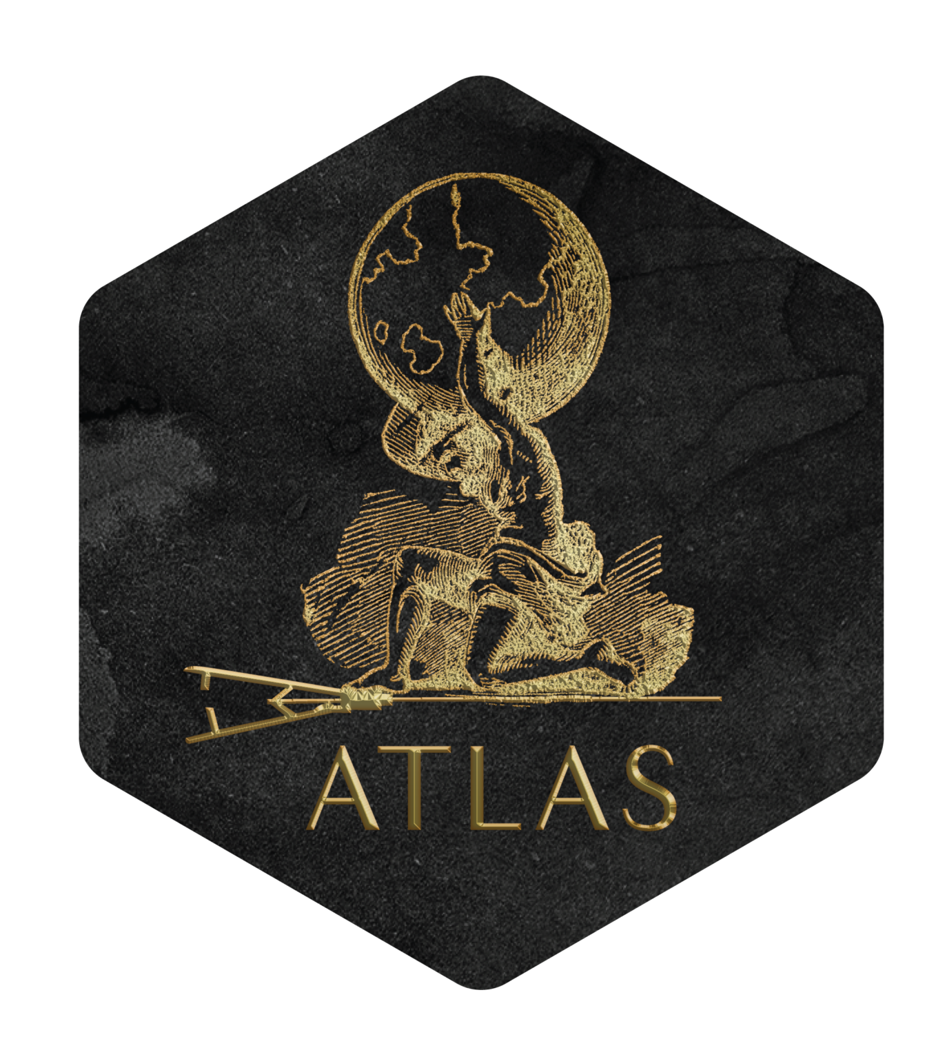 ASE ATLAS Database – Advanced Training in Laparoscopic Suturing